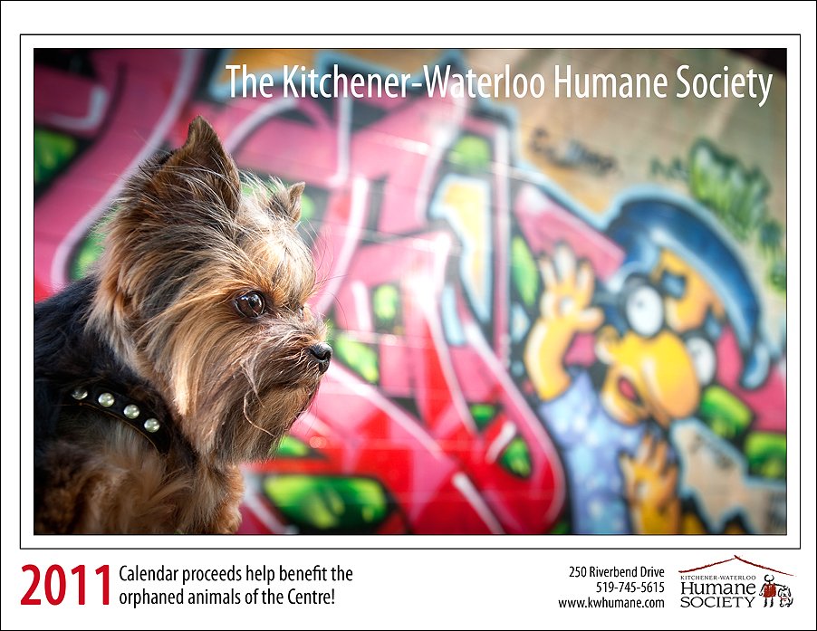 2011 Kitchener-Waterloo Humane Society calendars ~ Ontario pet ...